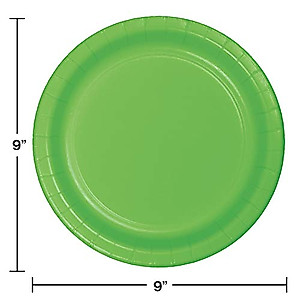 Creative Converting Touch of Color 24 Count Paper Dinner Plates, Fresh Lime