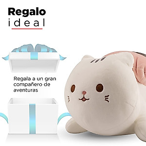 MINISO 14'' Sushi Cat Plush, Kawaii Stuffed Animal, Soft Body Pillow, Kitten Doll, Big Valentine's Day Gift (Salmon)