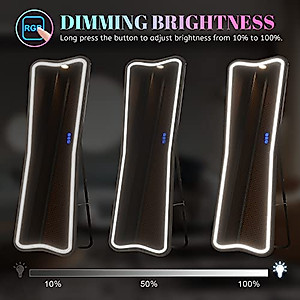 DNBSS 63"x20" RGB LED Full Length Floor Mirror With Lights, Free Standing & Wall Mount, Full Body Lighted Stand Up Mirror for Bedroom (Black RGB)