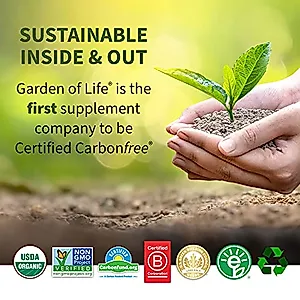 Garden of Life Sport Whey Protein Powder Vanilla, Premium Grass Fed Whey Protein Isolate Plus Probiotics for Immune System Health, 24g Protein, Non GMO, Gluten Free, Cold Processed - 20 Servings