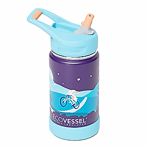 EcoVessel Frost Stainless Steel Kids Water Bottle with Straw Lid, Leak Proof Bottle with Carry Handle & Bottle Bumper, Kids Water Bottle for School - 12oz (Bunnyhop)