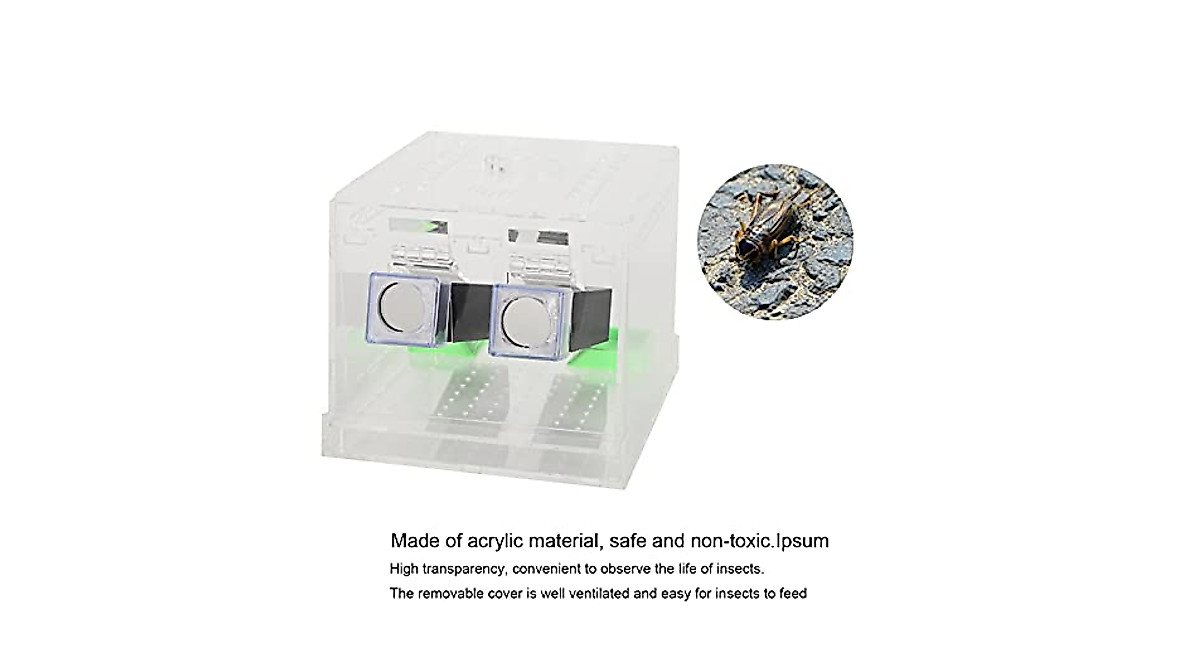 Cricket Keeper Tank Box (L) for Insects & Small Pets - Durable & Clear