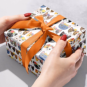 Colors of Rainbow Flat Sheet Wrapping Paper Featuring Cute Kitties Wearing Flower Crowns with a Floral Flair Gift Wrap (Kitty Cat)