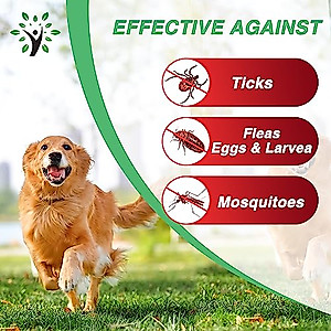 Natouch Flea and Tick Wipes for Dogs & Cats, Dog Flea and TIick Treatment Prevention Wipes, All Natural Grooming Wipes for Cleaning, Help with Ticks, Fleas, Eggs & Larvea, 160 Count