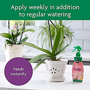 Miracle-Gro Ready-To-Use Orchid Plant Food Mist, 8 oz., Orchid Food Feeds Plants Instantly, 1 Pack