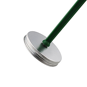 DGBRSM 2set Canning Kit 2PCS Canning Bubble Popper Bubble Remover and 2PCS Magnetic Jar Lid Lifters Heat Resistant Home Jar Canning Tool Green