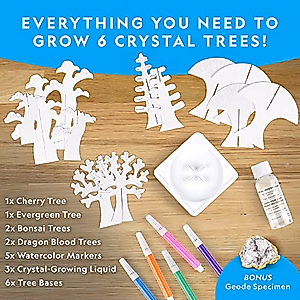 NATIONAL GEOGRAPHIC Craft Kits for Kids - Crystal Growing Kit, Grow 6 Crystal Trees in Just 6 Hours, Educational Craft Kit with Art Supplies, Geode Specimen, STEM Arts & Crafts Kit (Amazon Exclusive)