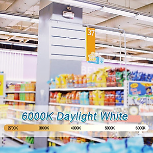 Marxlait 24 Pack T8 LED Bulbs 4FT, 6000K Daylight, 40W Equivalent, Ballast Bypass, Dual Ended Type B Light Tube, LED Fluorescent Tube Replacement T8 T12, Non-dimmable