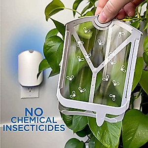 ZEVO Indoor Flying Insect Trap for Fruit Flies, Gnats, and House Flies (1 Plug-in Base + 3 Refill Cartridge)