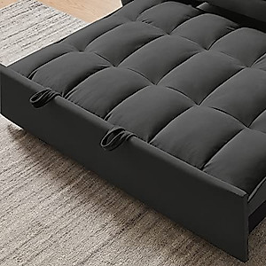 ERYE Loveseat Sofa Convertible Sleeper Couch Bed W/Pull Out Sleep Daybed, Functional Reclining Backrest Love Seat Sofa & Couch for Living RoomTwin Black Velvet 2 Pillows Both Side Pockets