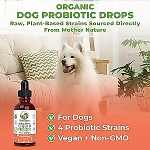 Dog Probiotic | USDA Organic Probiotic Dog | Probiotic for Dogs | Dog Probiotic for Digestive Support | Supplement for Gut Health & Beneficial Bacteria | Vegan | Non-GMO | Gluten Free | 4 Fl Oz