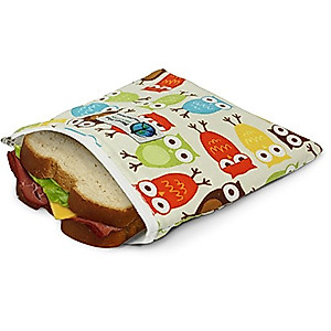 Planet Wise Jewel Woods Reusable Zipper Sandwich Bag | Reusable Food Storage Bags For Anything You Need | Environmentally Friendly And Budget Friendly Reusable Plastic Bags | Zipper Bags