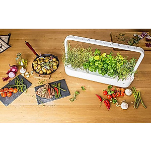 Click and Grow Chili Pepper Plant Pods, 3-pack