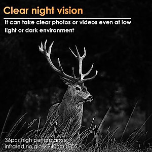 BLAZEVIDEO 4-Pack Game & Deer Trail Cameras 32MP 2304x1296P H.264 Video for Hunting Wildlife and Home Security No Glow Night Vision Time Lapse Motion Activated Waterproof & Password Protected
