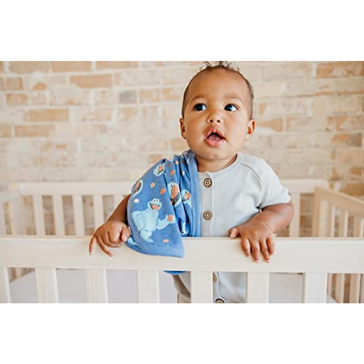 Copper Pearl Baby Security Blanket Set of 2 - Portable Size for Self-Soothing On-The-Go, Ideal Baby Blankets for Boys and Girls, Ultra-Soft, and Gift-Ready Loveys - Cookie Monster