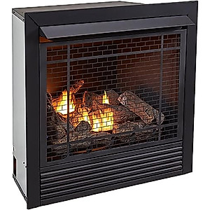 Duluth Forge Dual Fuel Ventless Gas Fireplace Insert, Remote Control, 9 Fire Logs, Use with Natural Gas or Liquid Propane, 32000 BTU, Heats up to 1500 Sq. Ft., Black