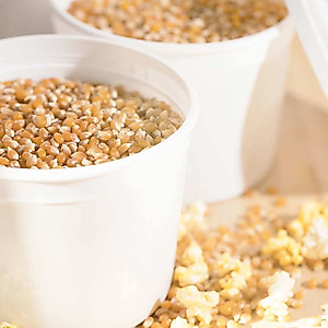 ePackageSupply 1 Gallon (128 oz) Food Storage Containers with Lids - Freezer and Microwave Safe Storage Containers, Round Plastic Containers with Lid, BPA Free, 3 Pack