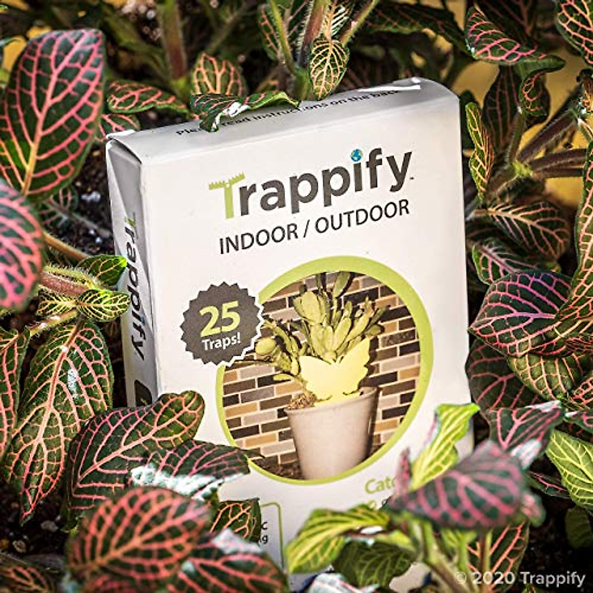 Trappify Sticky Gnat and Fly Traps, Fly Stick Strap & Window Fly Trap ...