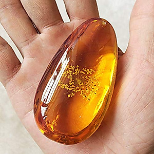 Garneck Crystal Amber Fossil with Insects, Inside Specimens Samples Stones Oval Pendant Collection Home Decorations Education Gift (Random Pattern)