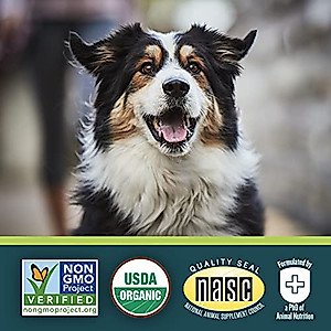 EverRoot Organic Dog Supplement by Purina, Digestion Chewable Tablet with Pumpkin for Dogs - 4.23 oz. Canister