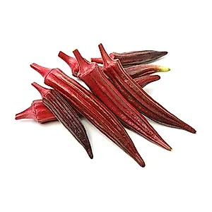 Red Burgundy Okra Seeds for Planting, 100+ Heirloom Seeds Per Packet, (Isla's Garden Seeds), Non GMO Seeds, Botanical Name: Abelmoschus esculentus, Great Home Garden Gift