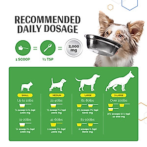 TopDog Health - MSM Joint Boost Powder - Hip & Joint Dog Supplement for Joint Mobility & Flexibility - Natural Anti-Inflammatory with Sulfur - Unflavored