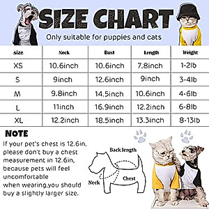 SETSBO Dog Clothes for Small Dog, Breathable Stretchy Dog Raglan Shirt, Soft Comfortable Cat Puppy Kitten Pet Apparel Outfits (Yellow&White, M[Weight(4-6lb) Chest(~14.5in'')])