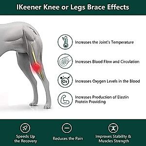 iKeener Vet Device for Pets,Red Light Therapy for Pain Relief,Muscle & Joint Pain from Dog Arthritis,Handheld Infrared Light with 660nm & 850nm Wavelengthsm for Dogs,Cats,Horses (Gold)