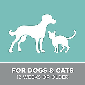 Groomer Essentials Detangling Spray - 1 Gallon - Soothing Lavender Fragrance Coat Types - Can Be Used On Dogs and Cats 12 Weeks and Older