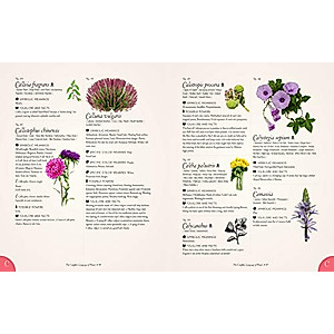 The Complete Language of Flowers: A Definitive and Illustrated History (Volume 3) (Complete Illustrated Encyclopedia, 3)