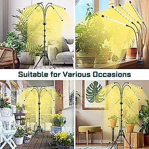 ZXMEAN Grow Lights for Indoor Plants Full Spectrum with 15-60 inches Adjustable Tripod Stand Plant Light with 4/8/12H Timer with Remote Control, LXG0009