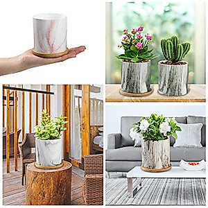 NOIRUC-CZ 6 Pack Succulent Plant Pots, 3 inch Marble Texture Mini Ceramic Planters with Drainage Hole and Bamboo Tray Small Flower Pot Modern Decor for Garden, Balcony, Office