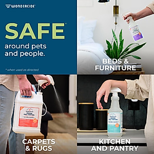 Wondercide - Indoor Pest Control Spray for Home and Kitchen - Ant, Roach, Spider, Fly, Flea, Bug Killer and Insect Repellent - with Natural Essential Oils - Pet and Family Safe— Peppermint 32 oz