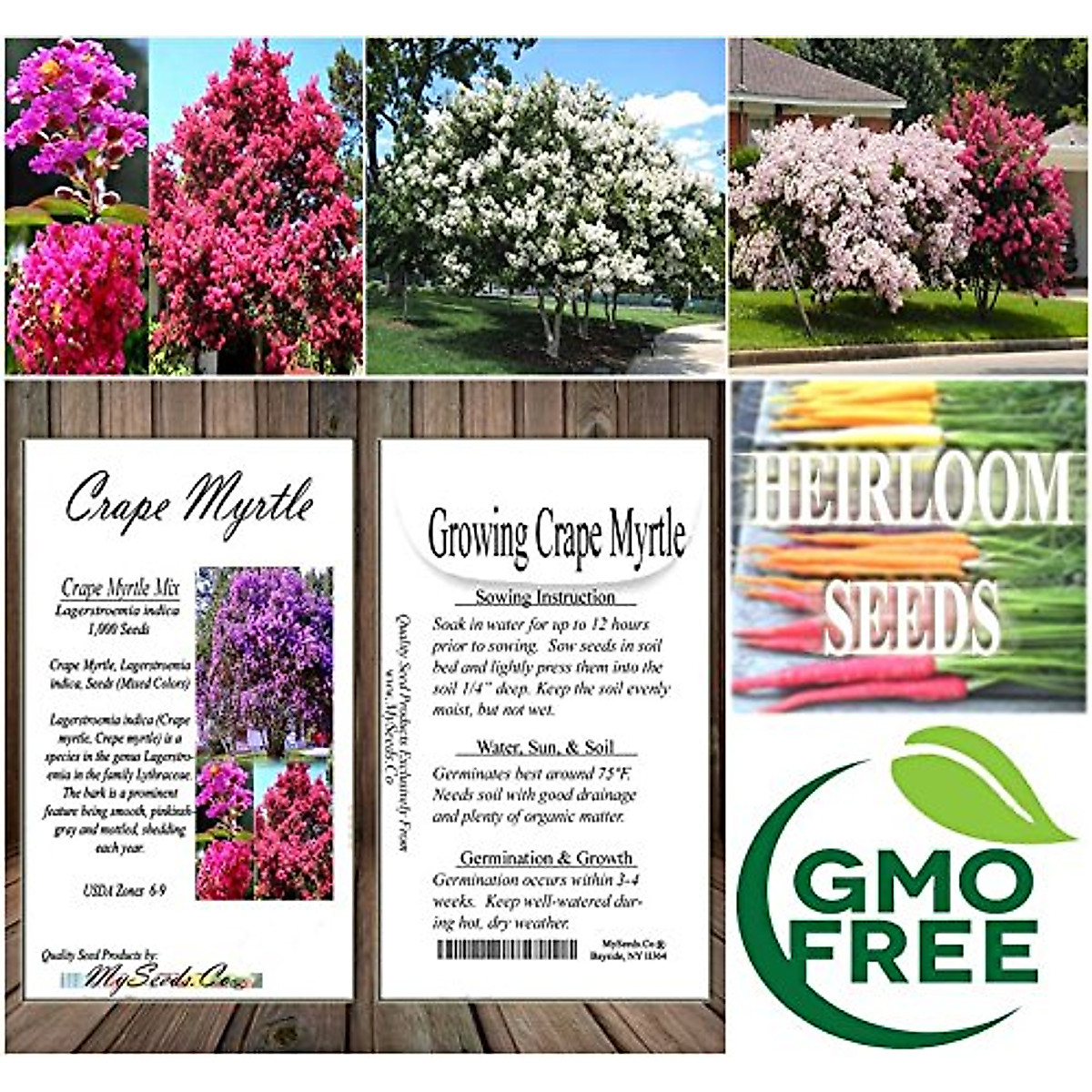 Big Pack - (1,000) Crape Myrtle Mix, Lagerstroemia Indica Tree Seeds - by MySeeds.Co (Big Pack - Crape Myrtle)