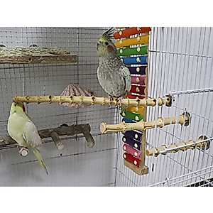 3 Pack Bird Perch Stand, Natural Bamboo Parrot Paw Grinding Toys, Bird Cage Accessories, Bird Paw Grinding for Small Birds Parrots Parakeets Cockatiels Conures Finches Love Birds