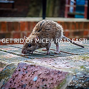 Lakota Naturals Coyote Urine All Natural Animal & Rodent Repellent - Makes It Seem Like a Coyote is Nearby!