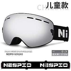 ZSQZJJ Ski Goggles Double Layer Antifog Glasses Mountaineering Ski Goggles