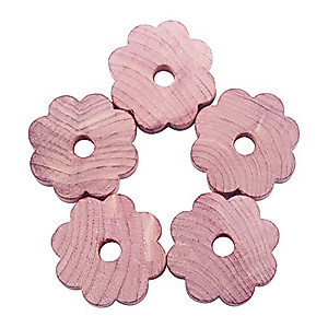 FunSpt 32 Pcs Cedar Blocks Plum Shape with Fragrance Odor 100% Nature Aromatic Red Ceder Planks for Hanger Wardrobes Closets Drawers Freshener Clothes,004