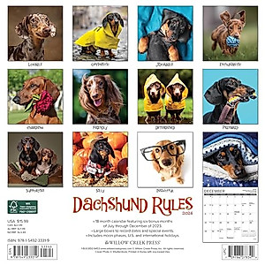Willow Creek Press Dachshund Rules Monthly 2024 Wall Calendar (12" x 12")