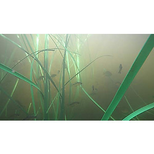 Honey Hole Grass Artificial Fish Habitat