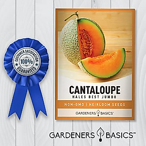 Cantaloupe Seeds for Planting - Hales Best Jumbo Heirloom, Non-GMO Vegetable Variety- 1 Gram Approx 45 Seeds Great for Summer Melon Gardens by Gardeners Basics