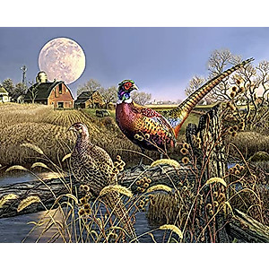David Textiles Harvest Moon Pheasants Panel 36 X 44 Inch Cotton Fabric