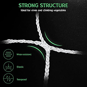 Seedfactor 5 x 15 ft. Plant Trellis Netting, Heavy-Duty Polyester Grow Net, Garden Trellis Netting with Square Mesh for Climbing Plants, Vegetables, Fruits, and Flowers, 1-Pack