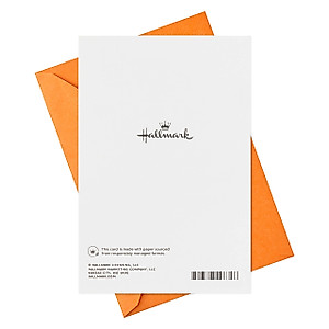 Hallmark Birthday Card for Husband (Great Husband and Father)