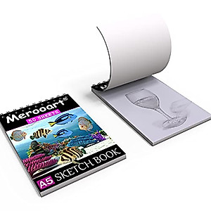 Merooart 37 Professional Drawing Pencil Set-A complete art sketching set for beginners and professional artists, with two 50-page sketchbooks, charcoal sticks, graphite sticks and erasers, zipper box