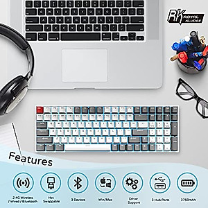 RK ROYAL KLUDGE RK100 Wireless Mechanical Keyboard RGB Backlit Bluetooth5.1/2.4G/Wired 96% Full Size 100-Key Hot-swap Gaming Keyboard with 3 USB Ports Brown Switch for Mac Windows Classic