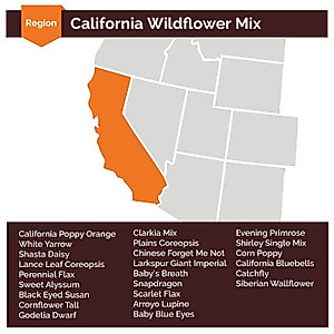 California Wildflower Seed Mix - 1 Pound - Mixed Wildflower Seeds, Attracts Bees, Attracts Butterflies, Attracts Hummingbirds, Attracts Pollinators, Easy to Grow & Maintain, Cut Flower Garden