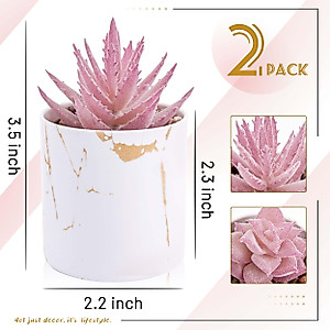 Der Rose Set of 2 Succulents Plants Artificial Mini Fake Succulents Plants for Office Desk Accessories for Women Pink Home Decor