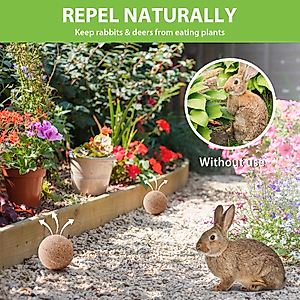 Homsor Rabbit Repellent Outdoor 10 Pack Peppermint Oil Deer Rabbit Away Repellent Balls Pet Safe Bunny Rabbit Deterrent for Garden Yard Lawn to Keep Rabbits Deers from Eating Plants