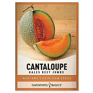 Cantaloupe Seeds for Planting - Hales Best Jumbo Heirloom, Non-GMO Vegetable Variety- 1 Gram Approx 45 Seeds Great for Summer Melon Gardens by Gardeners Basics